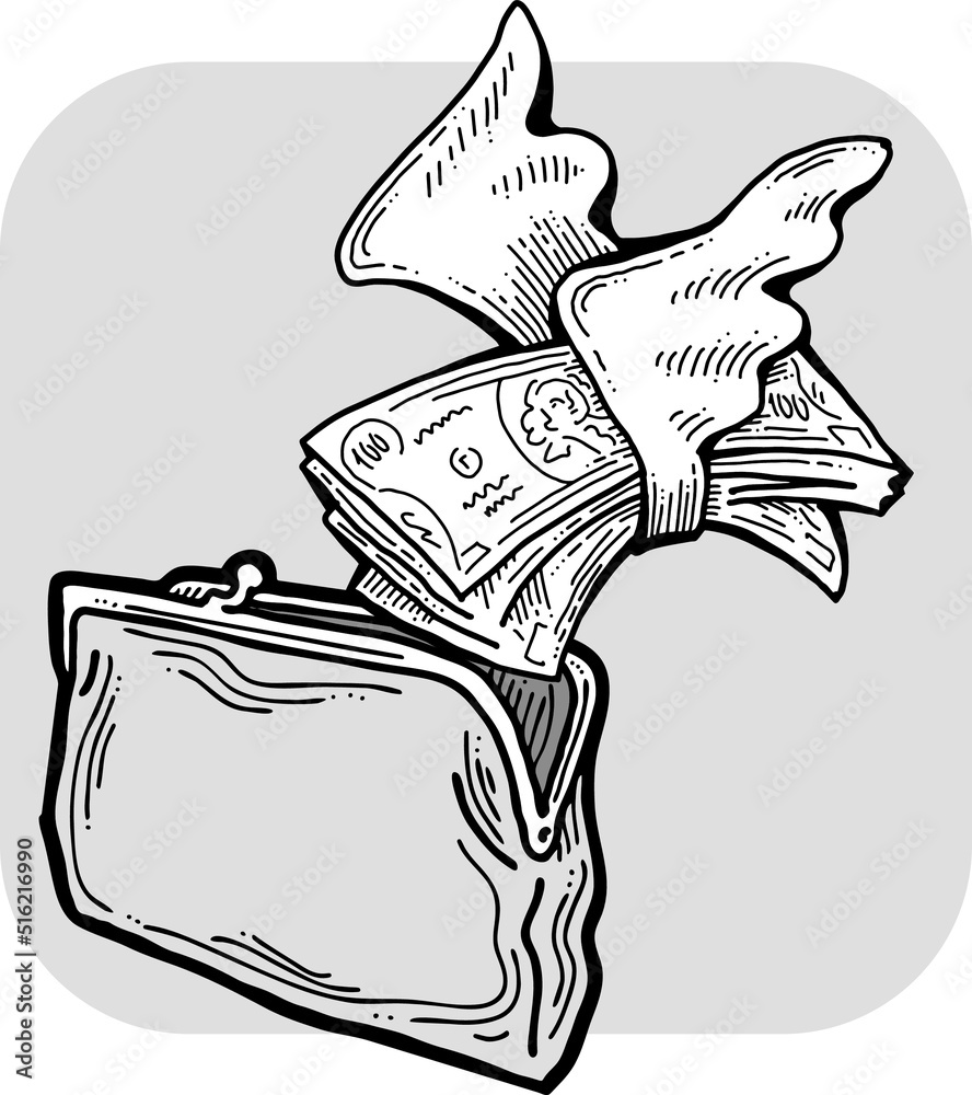 Money cash flying into and out of wallet. Income transfer, currency ...