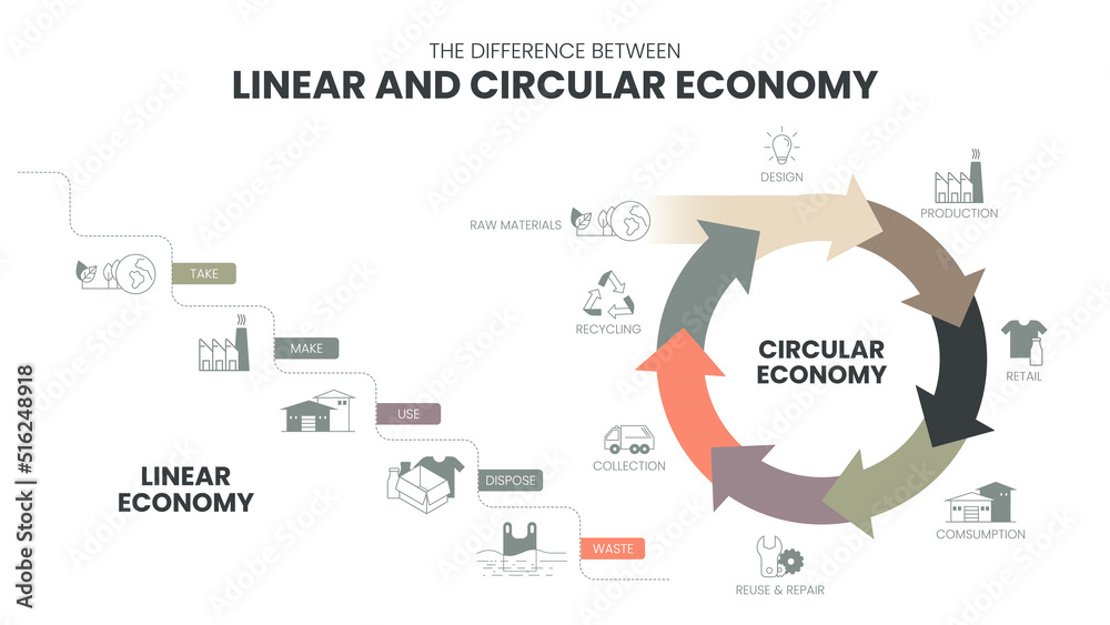 The vector infographic diagram of the difference between the circular ...