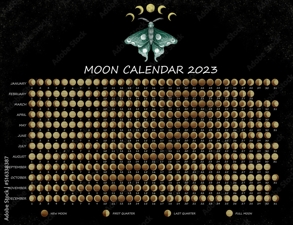 Lunar calendar 2023. Moon phases calendar for 2023 with beautiful lunar ...