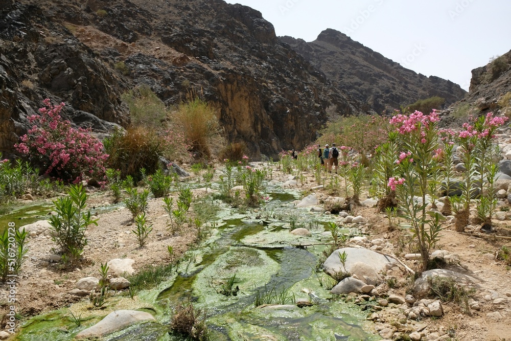 Dana Biosphere Reserve in Jordan. Amazing scenery in Wadi Ghuweir ...