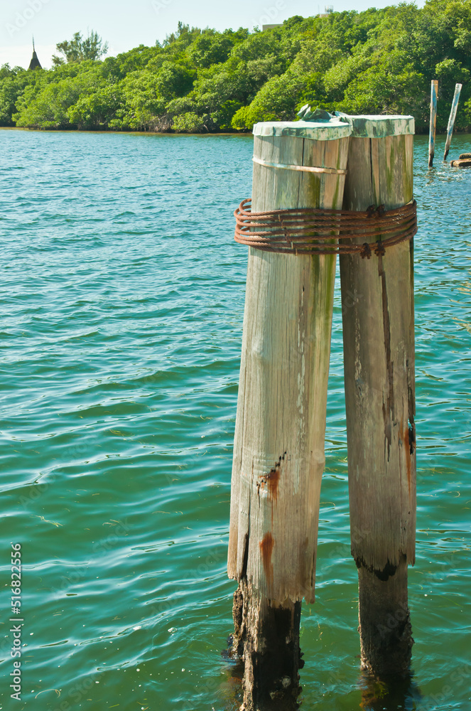 front view, medium distance of, two wood pilings, cabled together and ...
