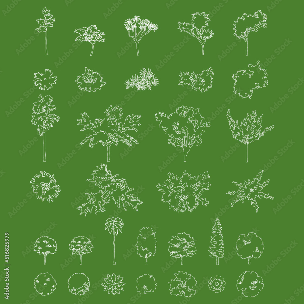 Vector Trees and Plants | Architecture | Top plan view | Elevation side ...
