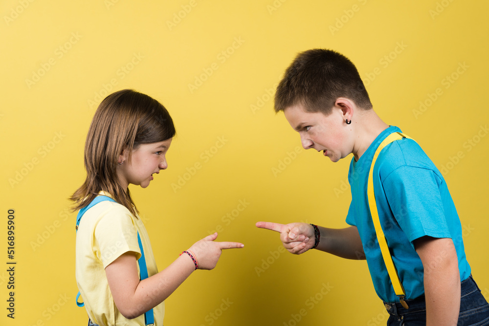 Brother and sister having a discussion and pointing each other. Boy and ...