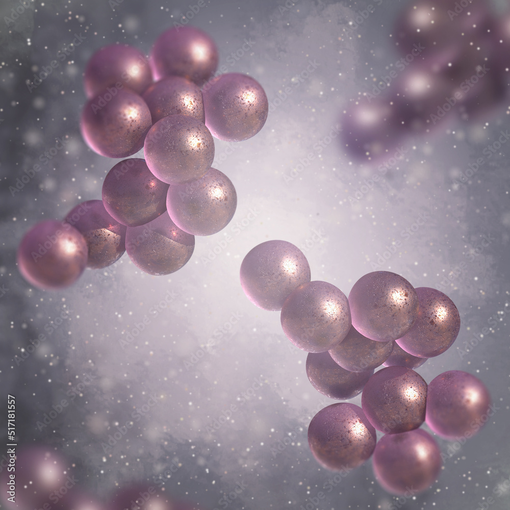 Medical background, staphylococcus bacteria gram-positive aerobic ...