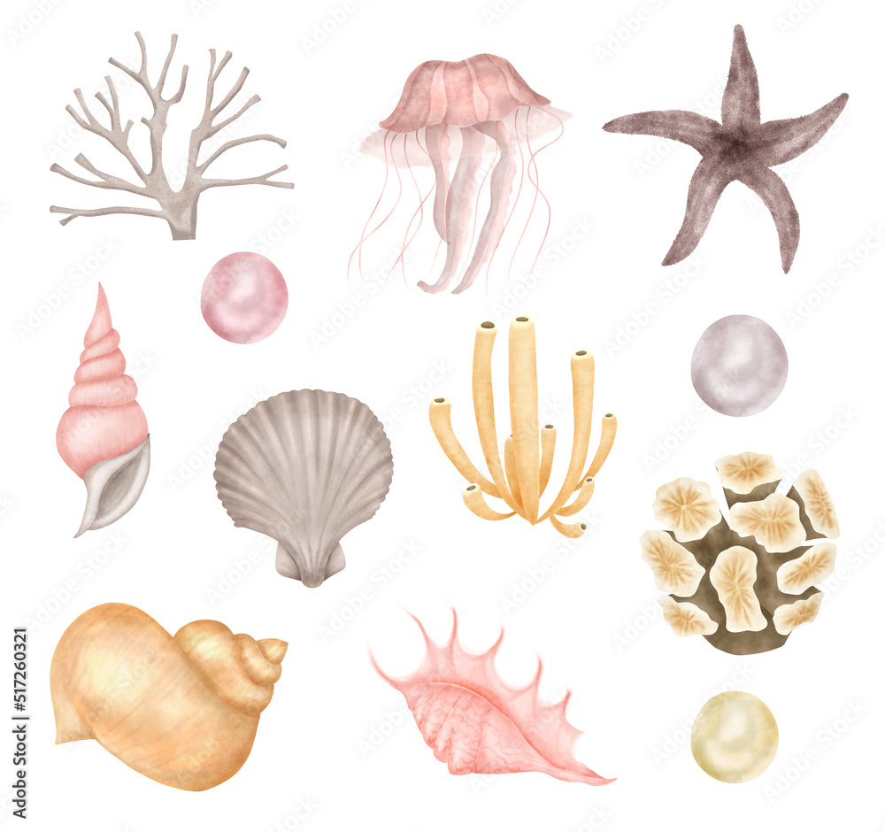 Watercolor set of ocean seashells, nautical clipart, coral reef, pearl ...