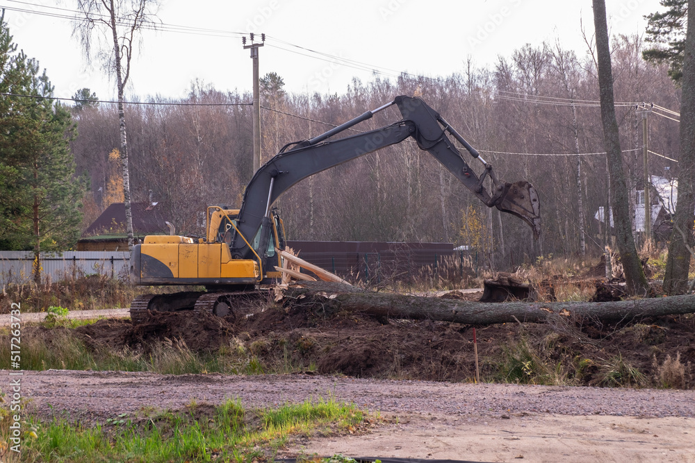 felling of trees and logs to the ground using a tractor loader with a ...