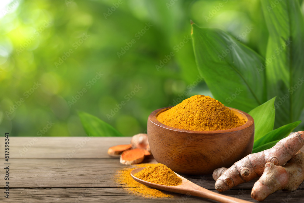Turmeric Spice Plant