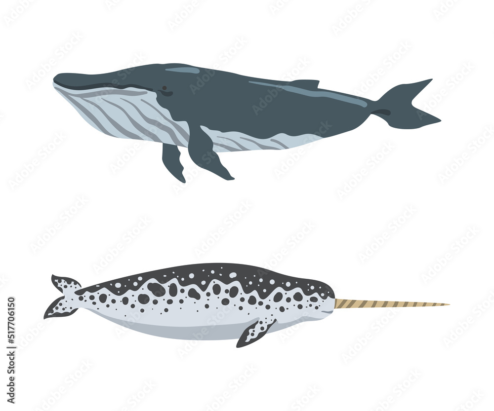 Oceanic and sea animals set. Sword fish, whale marine inhabitants ...