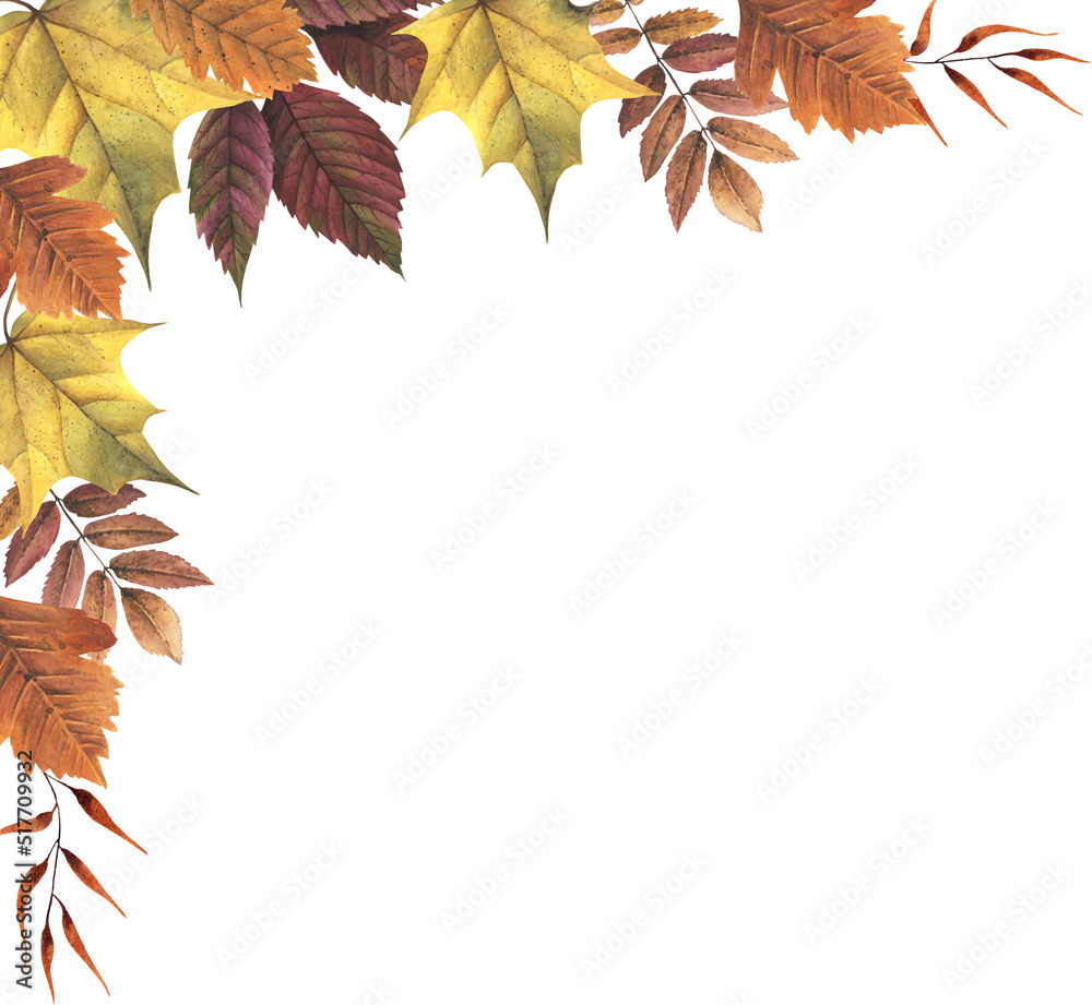 Watercolor autumn floral corner. Frame with fall maple, rowan leaf ...