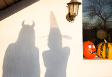 Pumpkins In Shadows Free Stock Photo - Public Domain Pictures