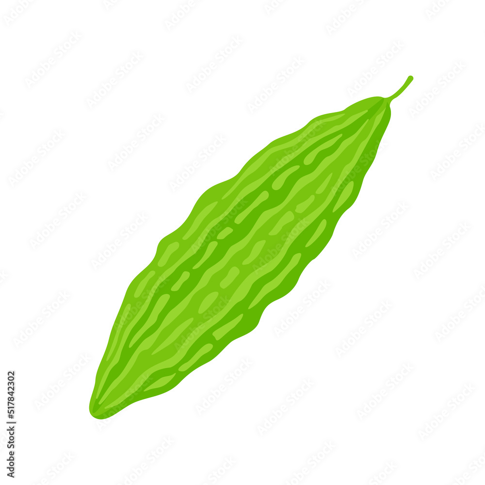 bitter gourd vector illustration in flat style Stock Vector | Adobe Stock