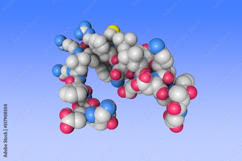 Structure of P53 tumor suppressor. Space-filling molecular model on ...