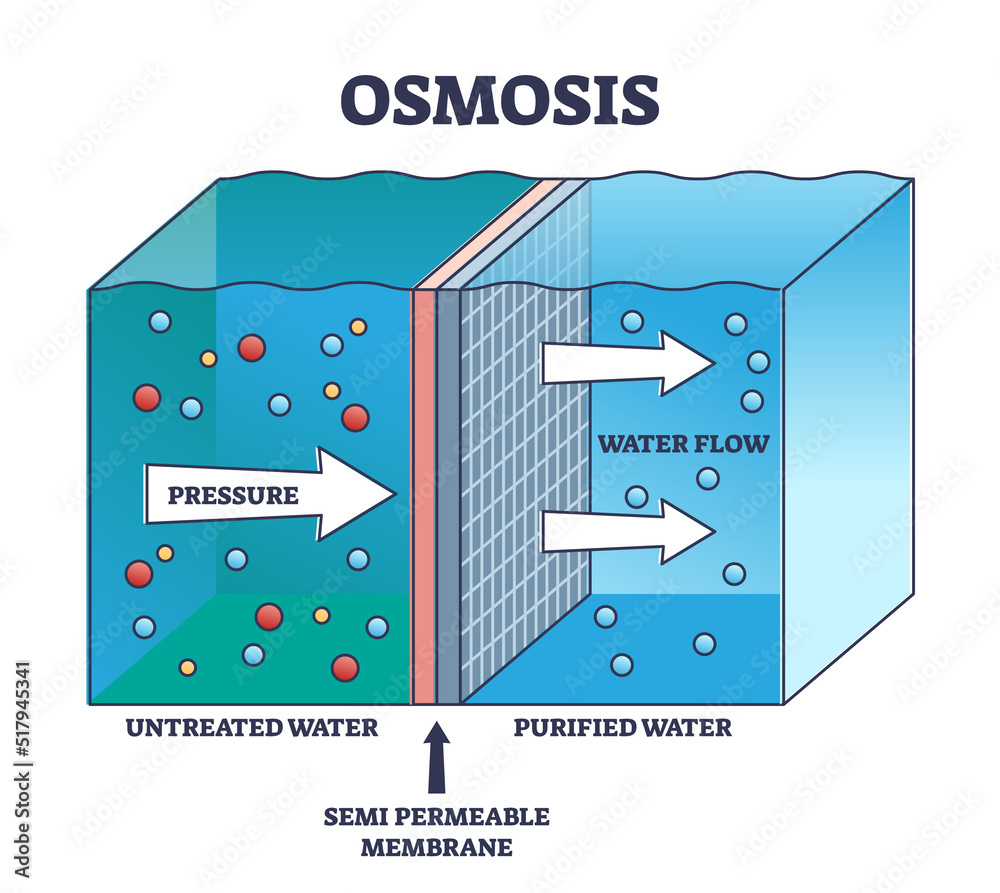 Osmosis process explanation for untreated water purification outline ...