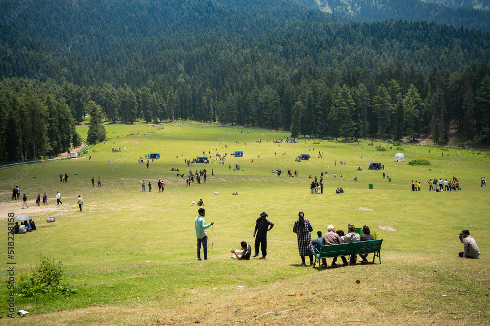 Lush green meadows and pine forest of baisaran Valley which is just few ...