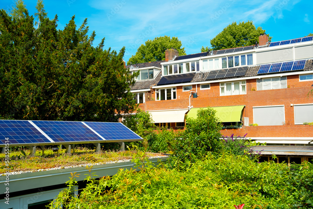 Green roof with flowering sedum plants and a row of blue solar panels ...