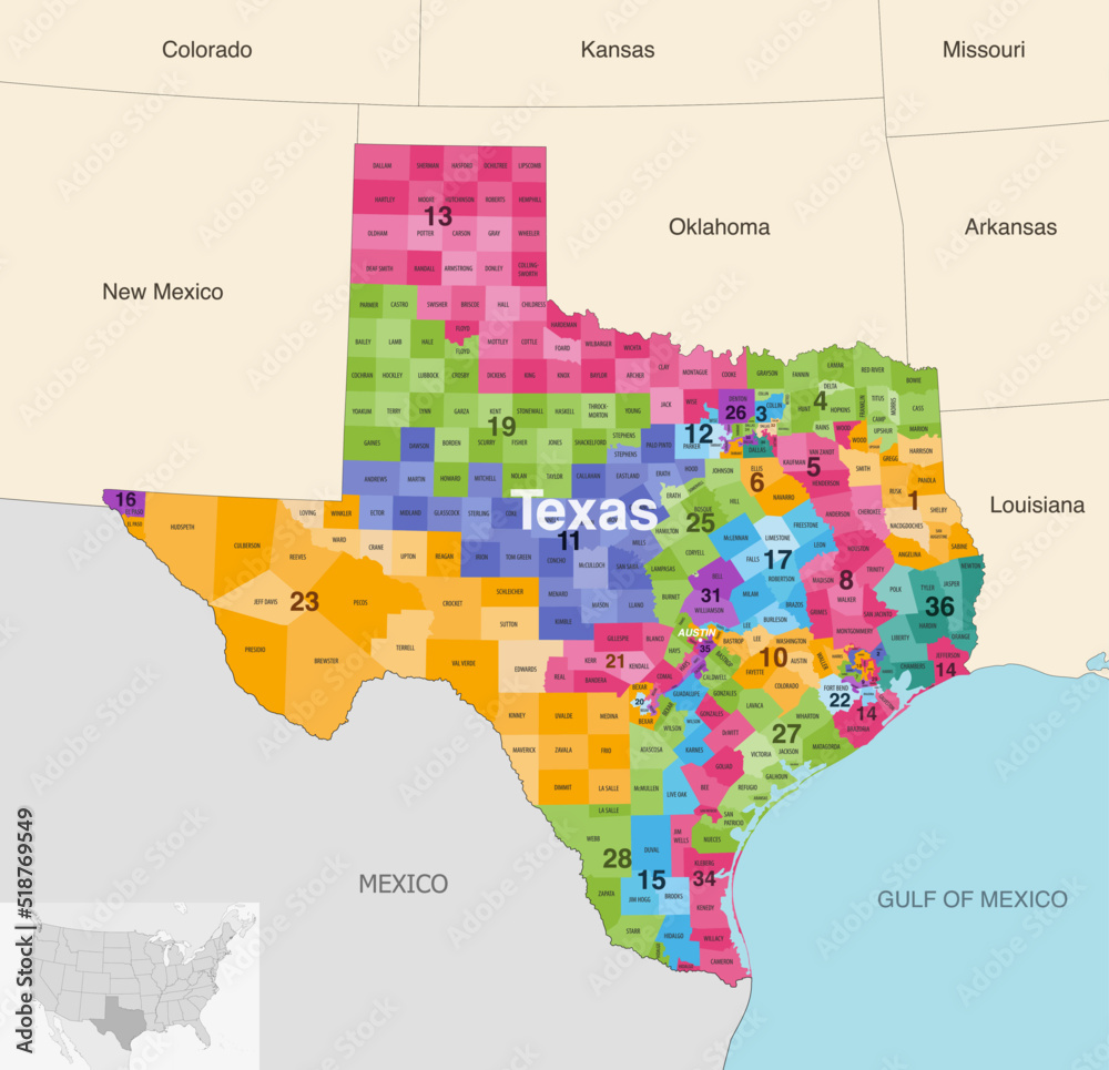 Texas's congressional districts (2013-2023) vector map with ...