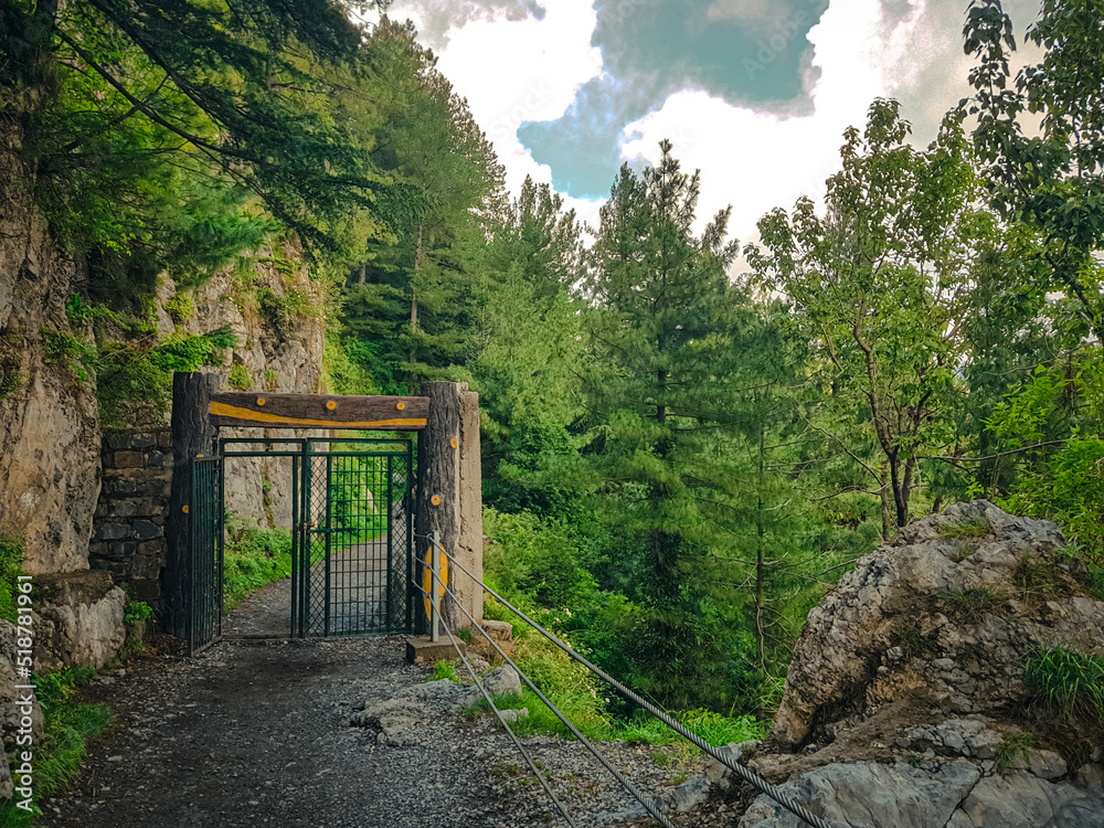 Pipeline Track; Ayubia National Park, Dunga Gali, is one of the most ...