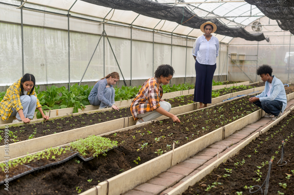 Group of mixed race students and teacher learning agriculture ...