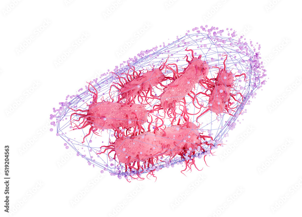 Escherichia coli, E.coli bacteria or salmonella, surrounded by ...