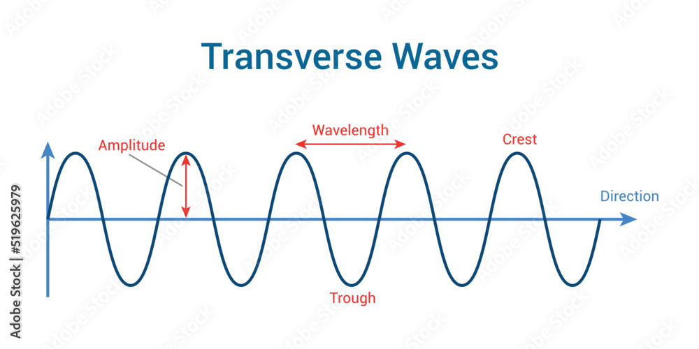 label the parts of a wave vector illustration isolated on white ...