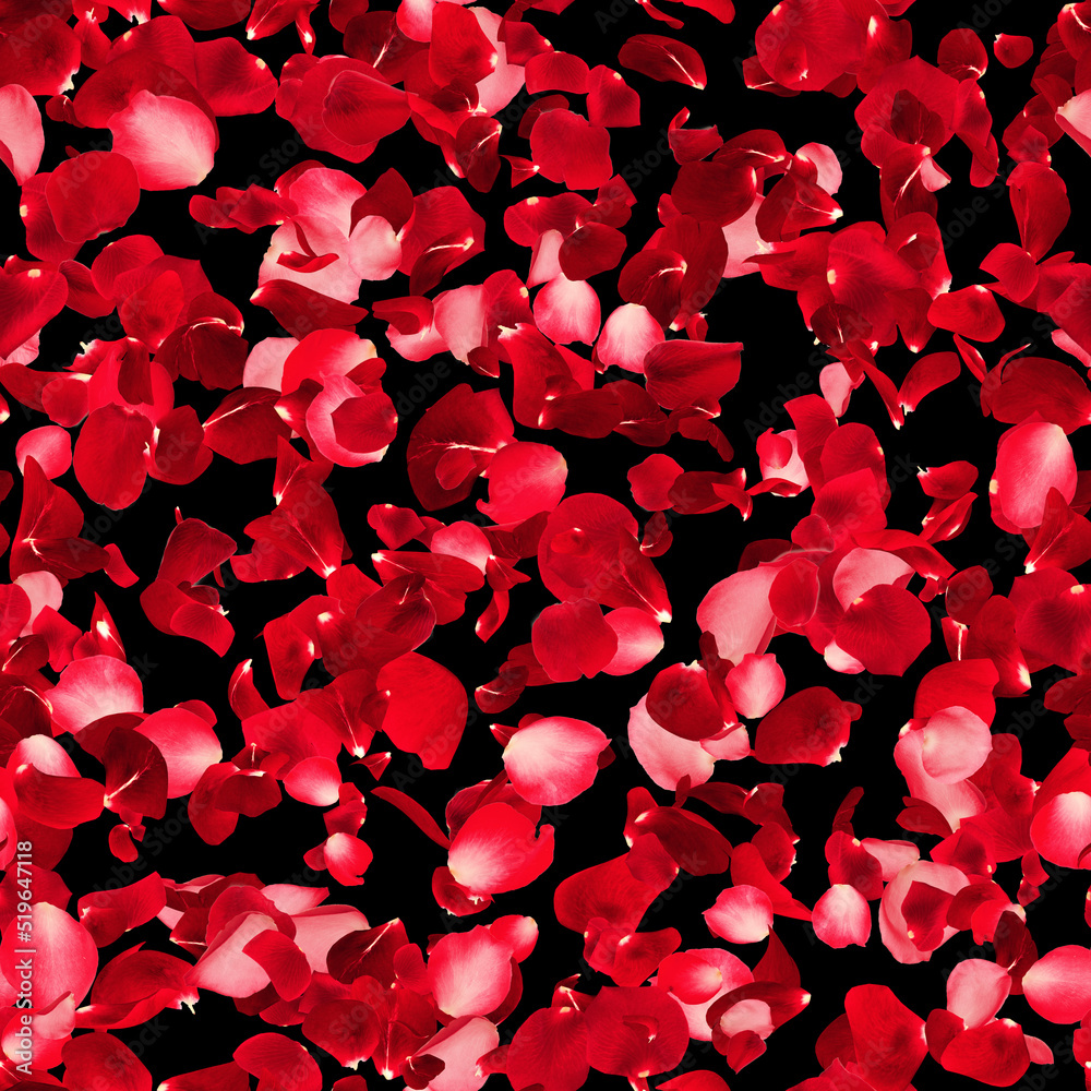 Seamless Rose Petal Textures Stock Illustration | Adobe Stock
