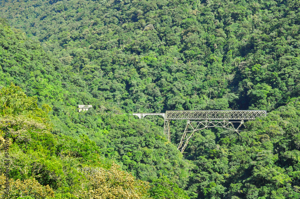 São João Bridge seen during the scenic train ride from Curitiba to ...