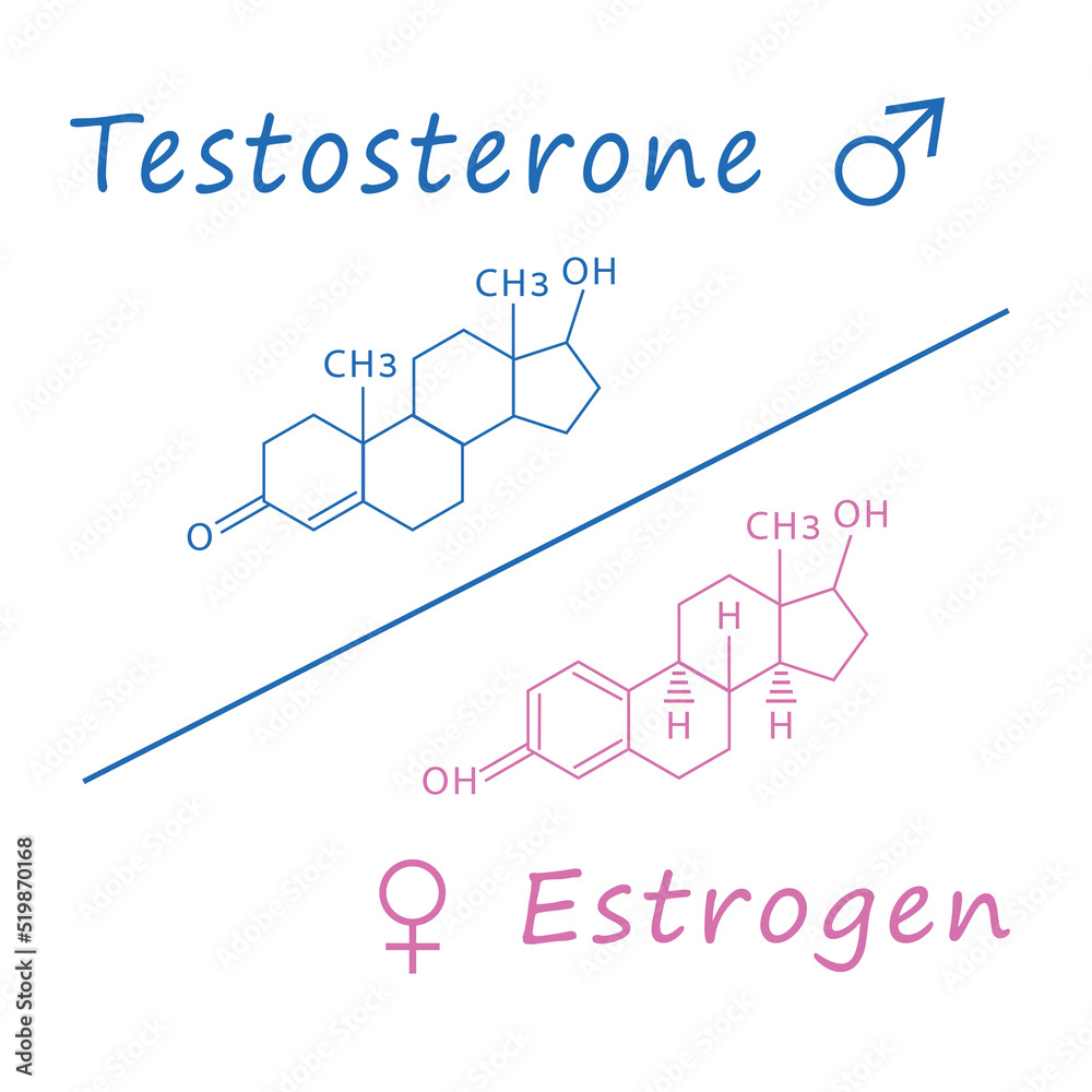 Chemical molecular formula hormone testosterone and estrogen. Male and ...
