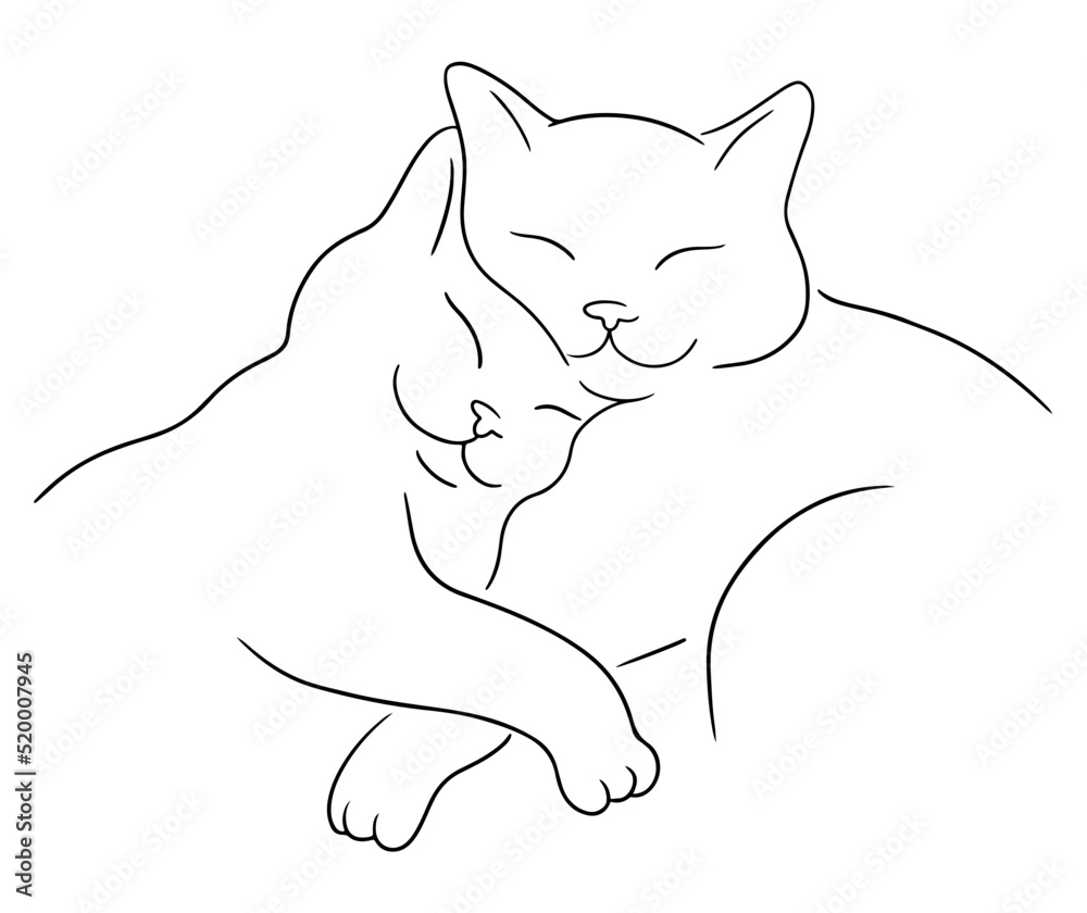 How To Draw Two Cats