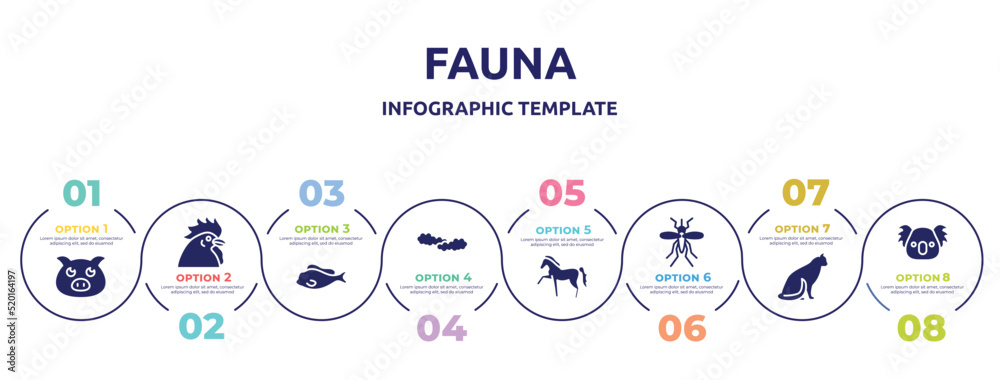 fauna concept infographic design template. included farm pig, chiken ...