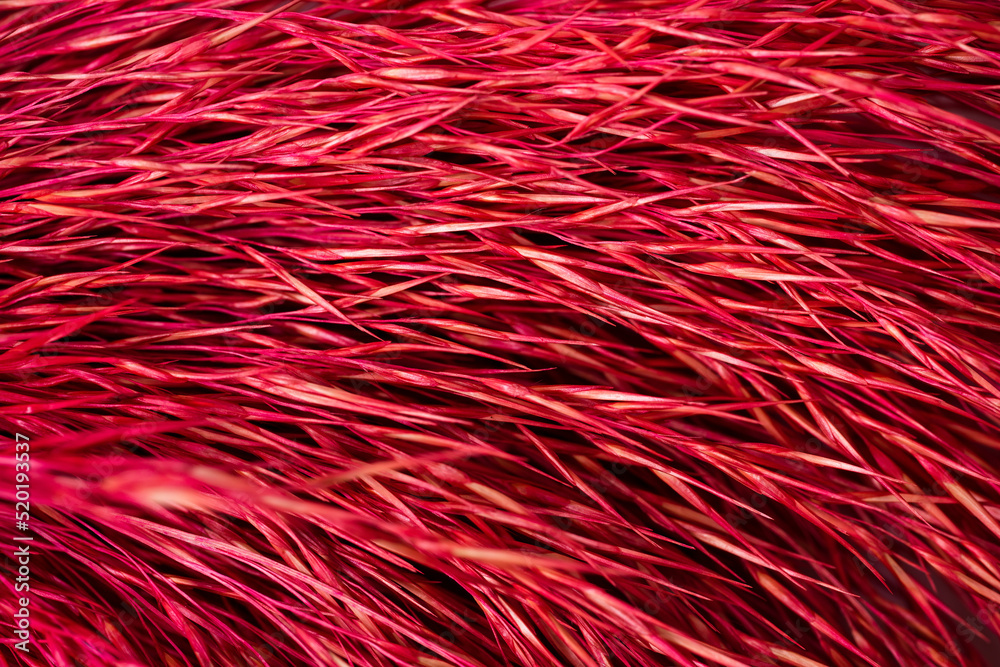 Macro Photography of red colored dry straw pattern. Abstract horizontal ...