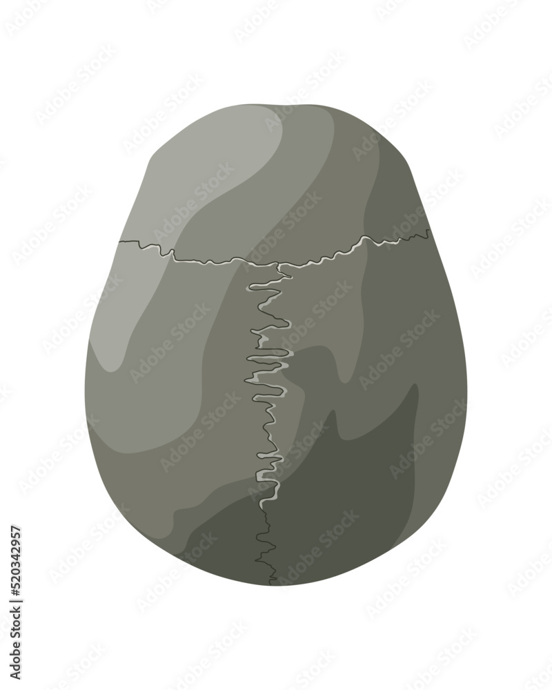 Human skull in different projections. Realistic illustration for the ...