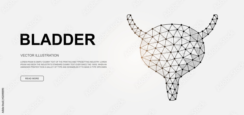 Bladder 3d low poly symbol for landing page template. Reproductive ...