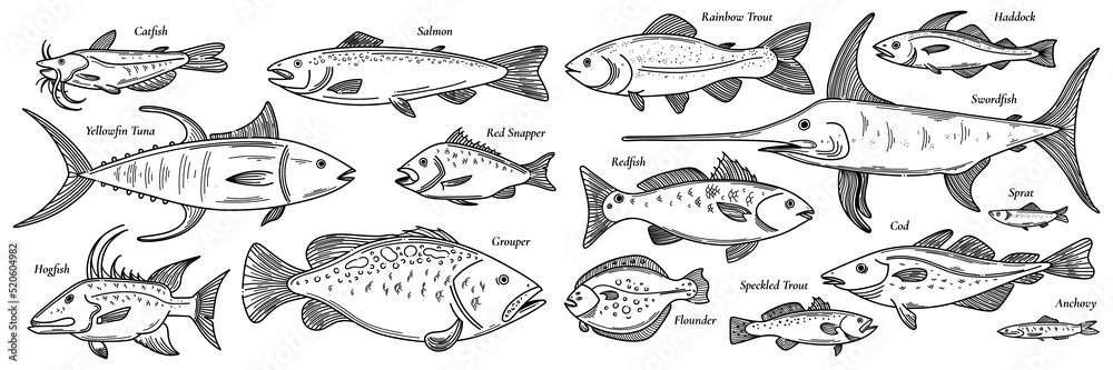 Doodle fishes, hand drawn fish flock set vector illustration isolated ...