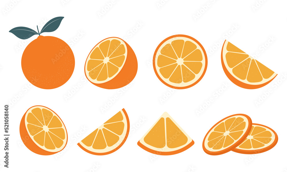 Big vector collection of fresh oranges. Orange fruit isolated on white ...