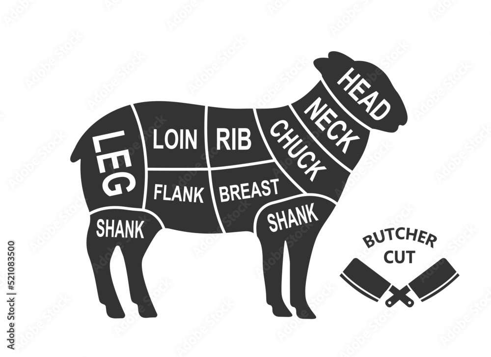 Sheep scheme cuts. Butcher diagram poster. Meat diagram scheme ...