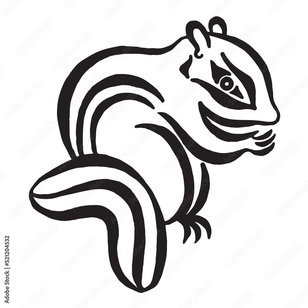 Cute chipmunk black and white drawing. Vector illustration isolated on ...