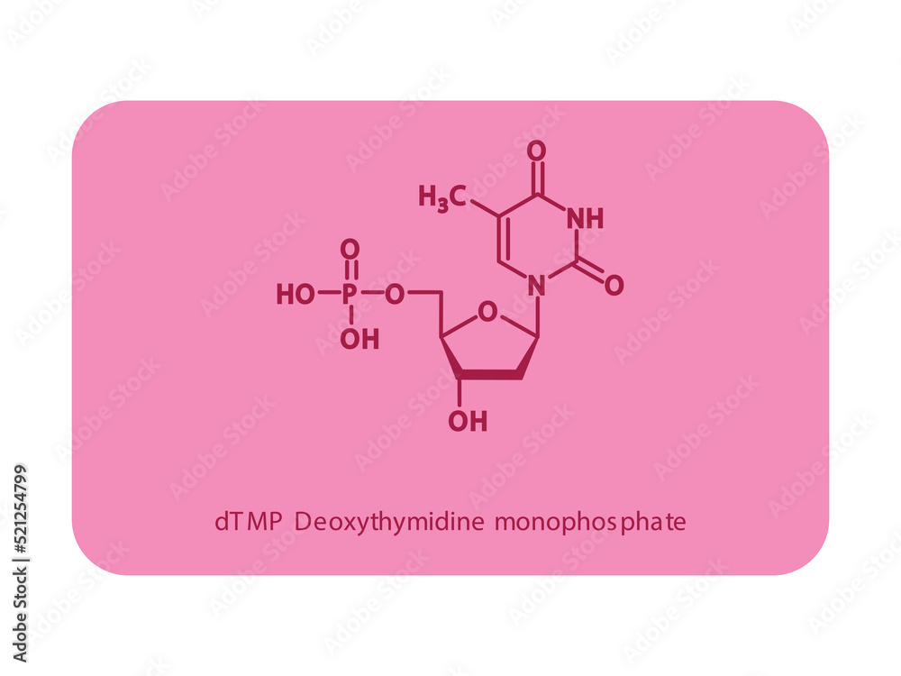 dTMP Deoxythymidine monophosphate Nucleotide molecular structure ...