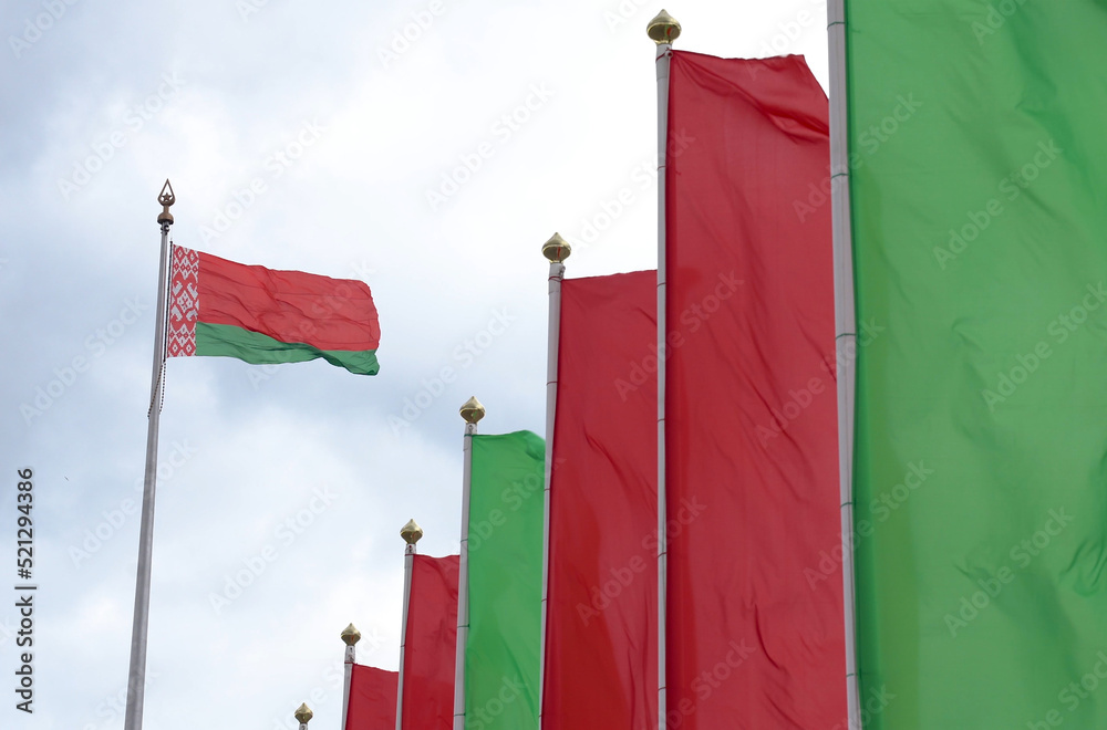 The state flags of the Republic of Belarus are fluttering in the wind ...