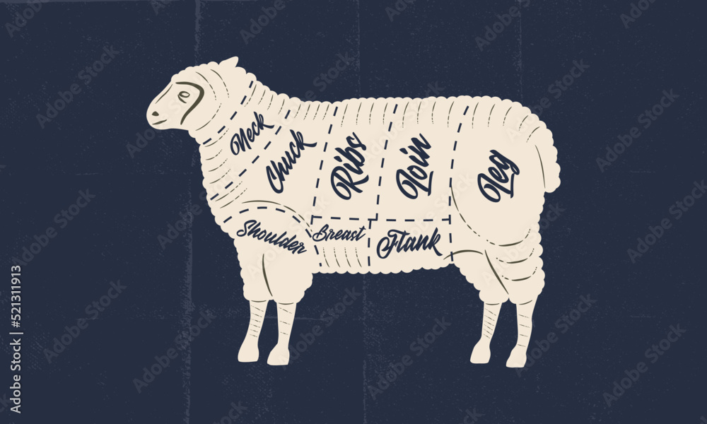 Sheep, Lamb meat chart. Butchery poster with lamb meat cuts and paper ...