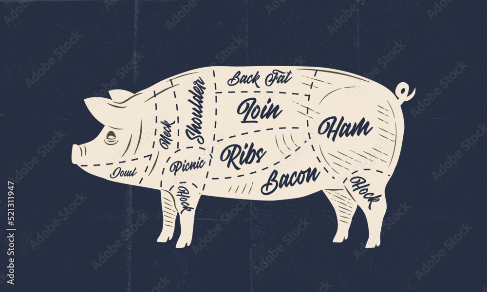 Vector de Stock Pig, Pork meat chart. Butchery poster with pork meat ...
