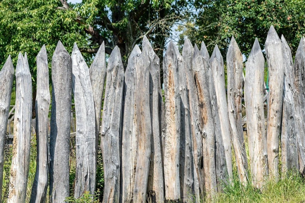 Fence of sharp wooden stakes a defensive wall Stock Photo | Adobe Stock