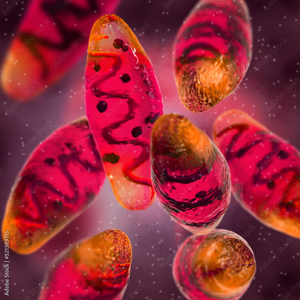 Medical background, Yersinia pestis a species of gram-negative bacteria ...