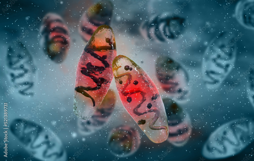 Medical background, Yersinia pestis a species of gram-negative bacteria ...