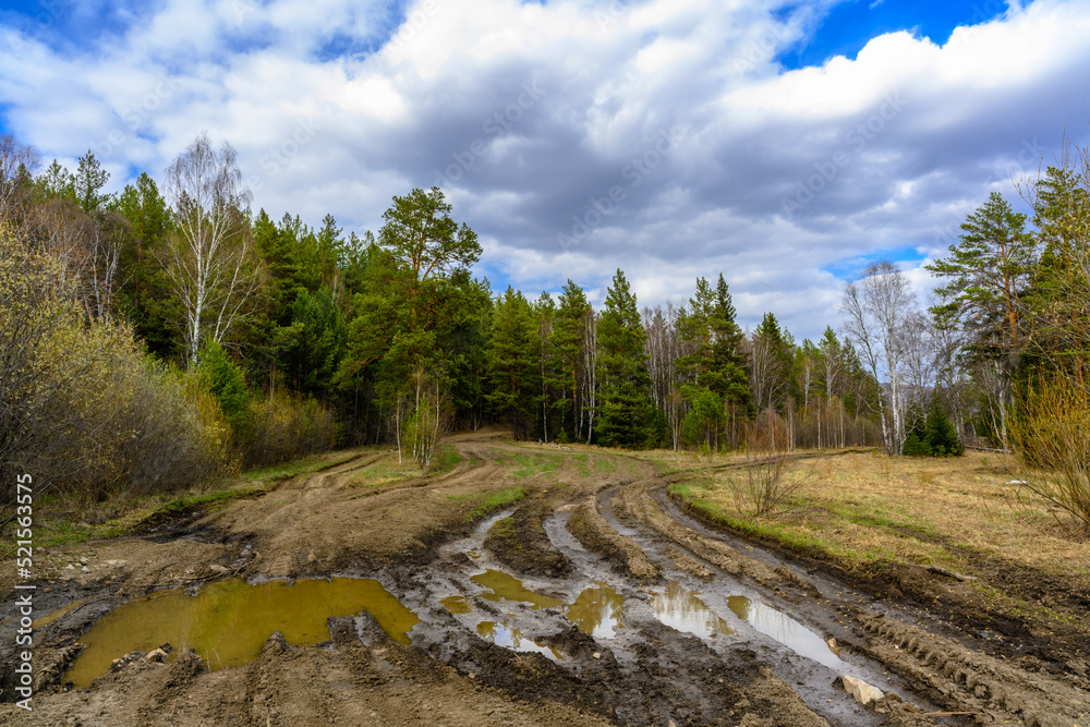 South Ural forest road with a unique landscape, vegetation and ...