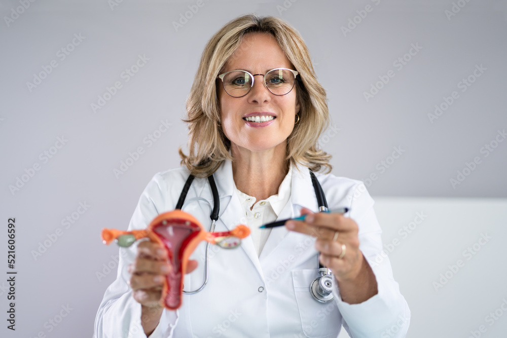 Uterus Female Reproductive Anatomy Stock Photo | Adobe Stock