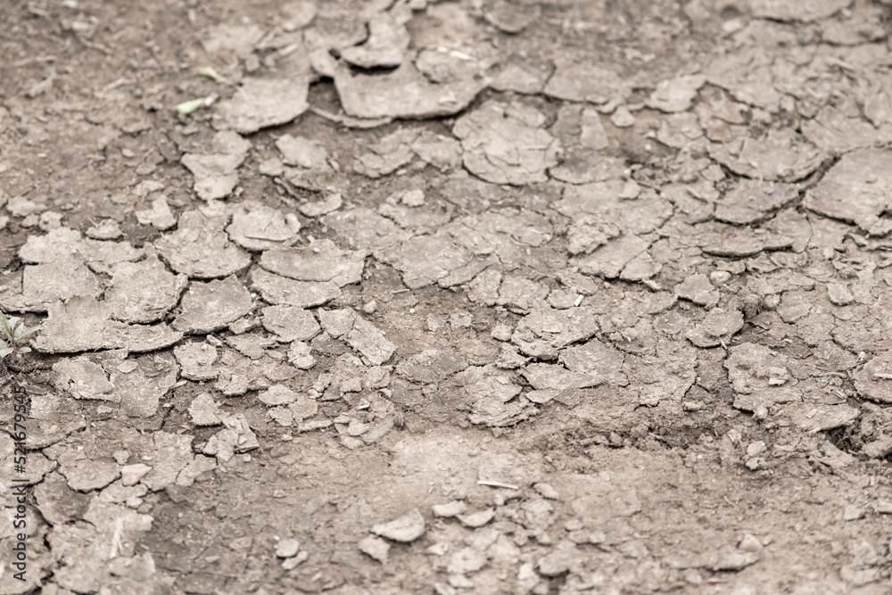 No rainfall causes dry fields during drought after very hot heat ...