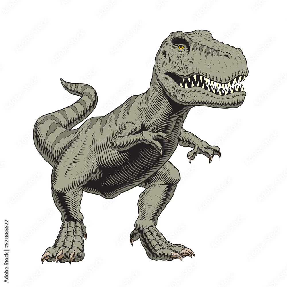 Tyrannosaurus rex or t rex dino standing isolated on white background ...