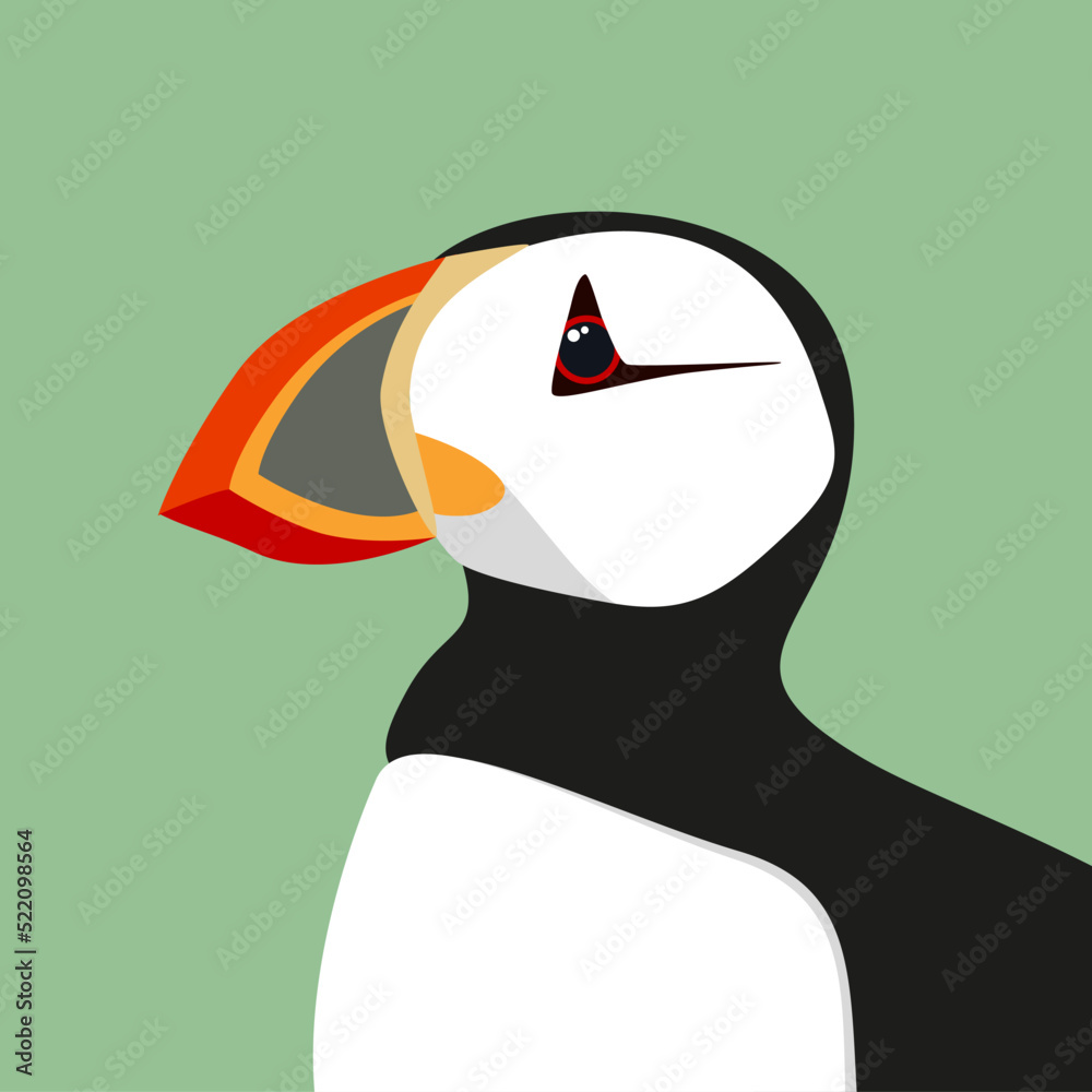 Atlantic puffin’s head flat vector illustration. North fauna, wildlife ...
