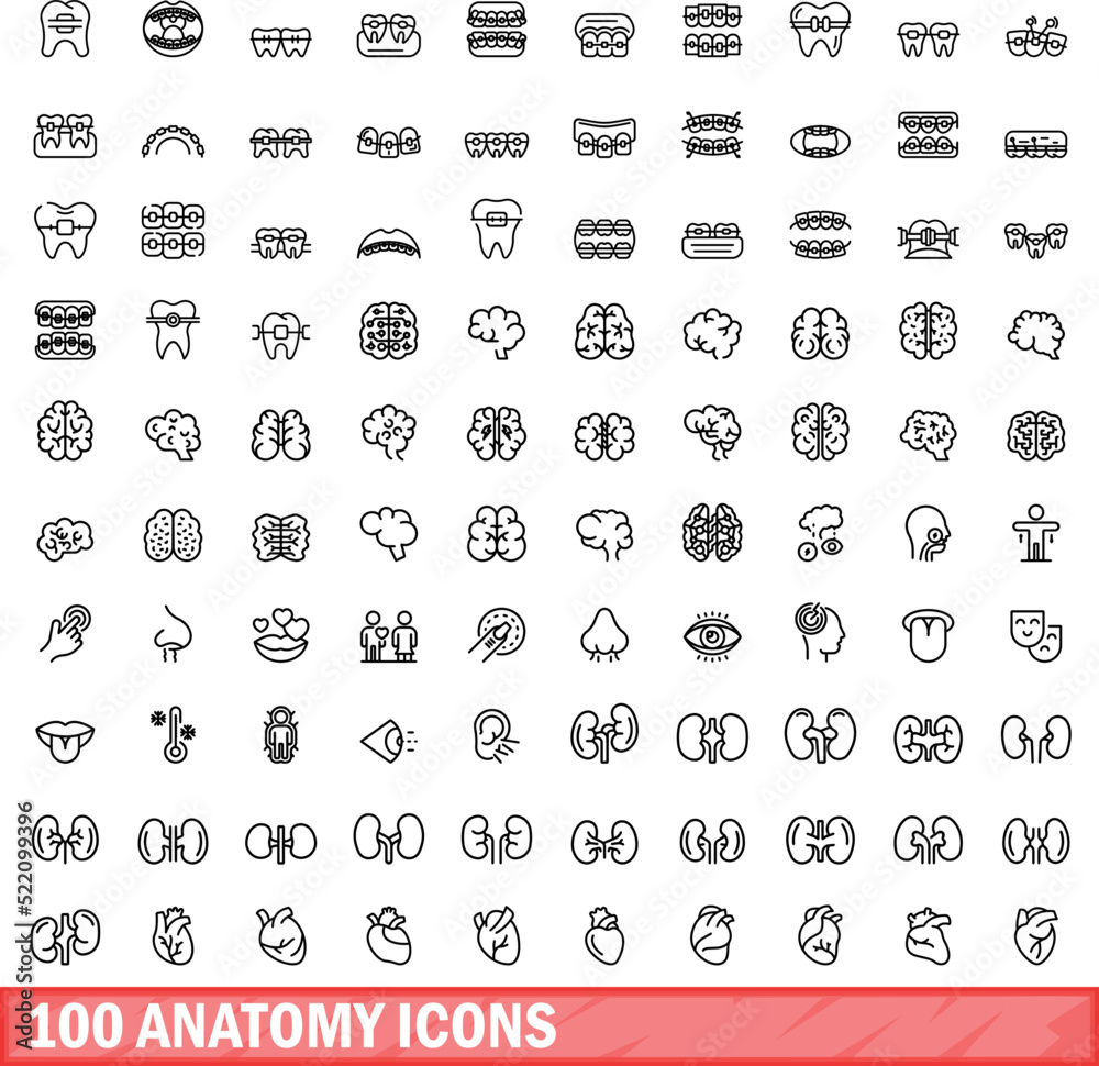 100 anatomy icons set. Outline illustration of 100 anatomy icons vector ...