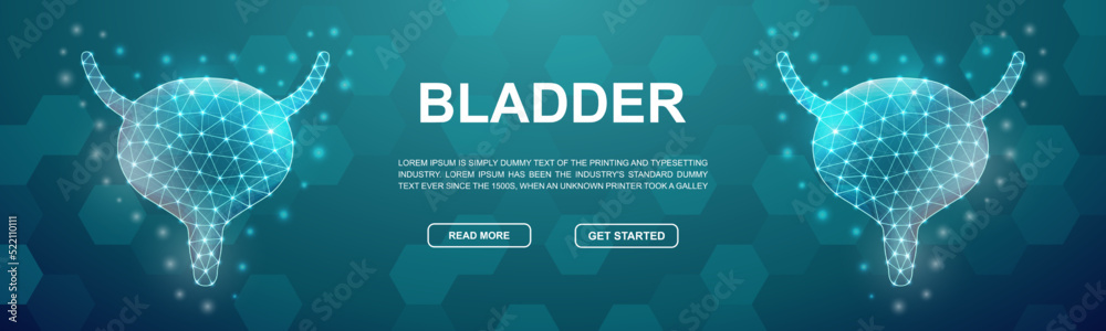 Bladder polygonal symbol for promotion banner. Horizontal low poly ...